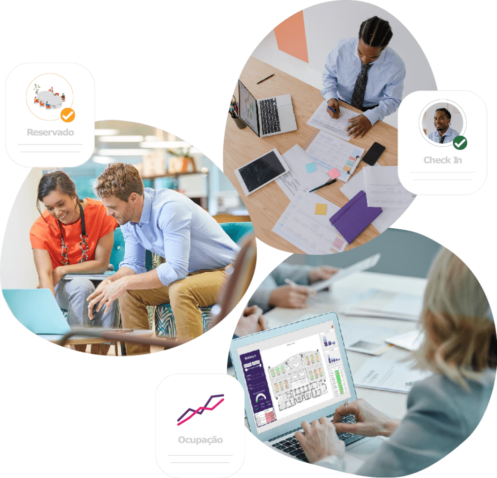 Workplace Experience ES - Wiser XP